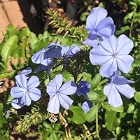 The Darkhouse by Barbara Radecki | Goodreads