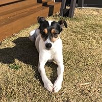 Run, Melos!: English Edition (Japanese Classics) by Osamu Dazai | Goodreads