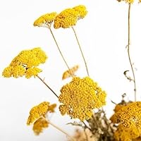 The Waiting: The True Story of a Lost Child, a Lifetime of Longing, and a Miracle for a Mother ...