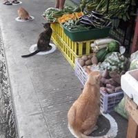 The Hello, Goodbye Window by Norton Juster | Goodreads