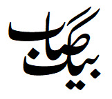 Curveball: Spies, Lies, and the Con Man Who Caused a War by Bob Drogin ...