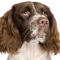 Magnificat (Galactic Milieu Trilogy, #3) by Julian May | Goodreads