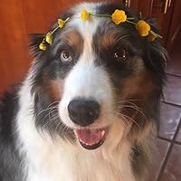 Sleepaway: Writings on Summer Camp by Eric Simonoff | Goodreads