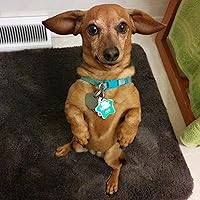 A Billion Years: My Escape From a Life in the Highest Ranks of ...