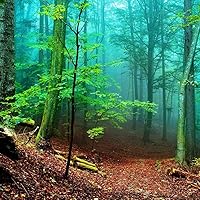 Lethal Defense (Nate Shepherd, #1) by Michael Stagg | Goodreads