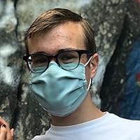 The Great Inversion and the Future of the American City by Alan ...