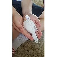 Perfection by Merphy Napier | Goodreads