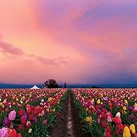 I Am Regina by Sally M. Keehn | Goodreads