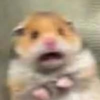 Class President (Class Clown, #3) by Johanna Hurwitz | Goodreads