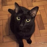 Introduction to Dynamic Macroeconomic Theory: An Overlapping ...