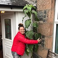 The Wild Other: A Memoir by Clover Stroud | Goodreads