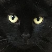 Long Range (Joe Pickett, #20) by C.J. Box | Goodreads