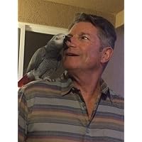 Dawn of the Mages (Magic Wakes #2) by Charity Bradford | Goodreads