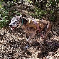 The Storyteller by Brandon Hobson | Goodreads