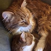 Invisible Emmie (Emmie & Friends, #1) by Terri Libenson | Goodreads