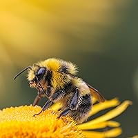 Dagger Hill by Devon Taylor | Goodreads