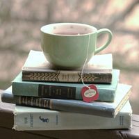 The House on First Street: My New Orleans Story by Julia Reed | Goodreads