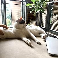 Ry's Git Tutorial by Ryan Hodson | Goodreads