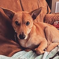 Pandora's Curse (Philip Mercer #4) by Jack Du Brul | Goodreads