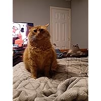 Lost Truth (Truth, #4) by Dawn Cook | Goodreads