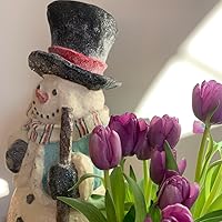 Domitila: A Cinderella Tale from the Mexican Tradition by Jewell ...