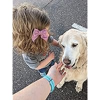 Not You Again by Ingrid Pierce | Goodreads