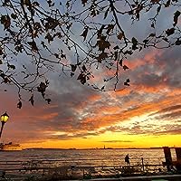 438 Days: An Extraordinary True Story of Survival at Sea by Jonathan ...