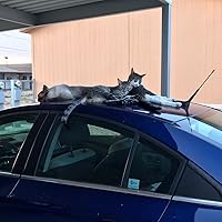 Sweet-Talking Cowboy by Vicki Lewis Thompson | Goodreads