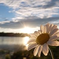 Shattered by Eric;Arseneault Walters | Goodreads