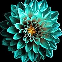 Lion's Lunch? by Fiona Tierney | Goodreads