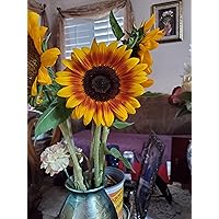 Through the Magic Mirror by Anthony Browne | Goodreads