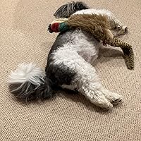 The Seeker (Damian Seeker, #1) by S.G. MacLean | Goodreads