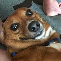 The Kagonesti (Dragonlance: Lost Histories, #1) by Douglas Niles ...