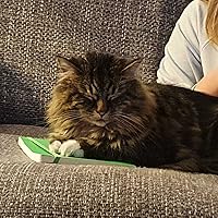 Overcoming Binge Eating by Christopher G. Fairburn | Goodreads