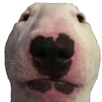 Escaping the Holocaust: A True Story by Julian Padowicz | Goodreads