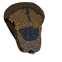 The Young Man and the Sea by Rodman Philbrick | Goodreads