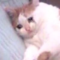 24 Hours in Nowhere by Dusti Bowling | Goodreads