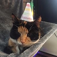 Wilderness by Roddy Doyle | Goodreads