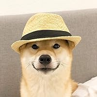 The Lesser Devil (The Sun Eater, #1.5) by Christopher Ruocchio | Goodreads