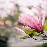 Beware False Profits (Ministry is Murder, #3) by Emilie Richards ...