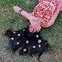 Atmamun: The Path To Achieving The Bliss Of The Himalayan Swamis. And ...