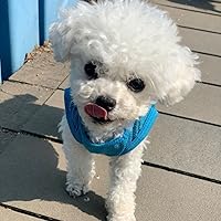 The 21 Lessons of Merlyn: A Study in Druid Magic & Lore by Douglas ...