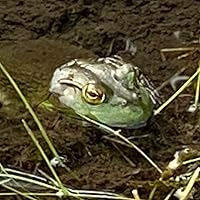 Does this book have a tragic/downer ending? — Tipping the... Q&A