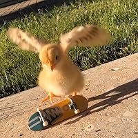 The Light in the Window by June Goulding | Goodreads