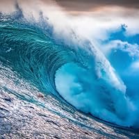 The Bubble Reputation by Cathie Pelletier | Goodreads