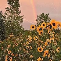 Told You So by Leeanne Slade | Goodreads