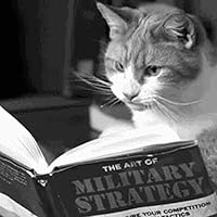 The Spellbound Box Set by Mande Matthews | Goodreads