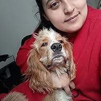 ストレイバレットベイベー [Stray Bullet Baby] by Kei Ichikawa | Goodreads