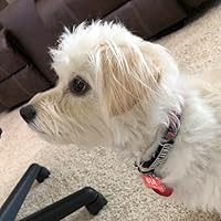 Fire Girl (Fire Girl #1) by Matt Ralphs | Goodreads