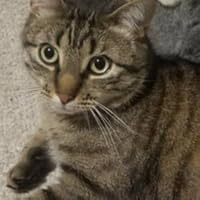 Run by Eric Walters | Goodreads